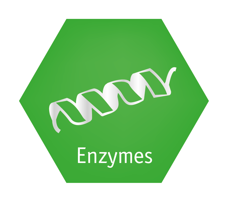 Enzymicals AG – Enzymes / Chemical / Solutions
