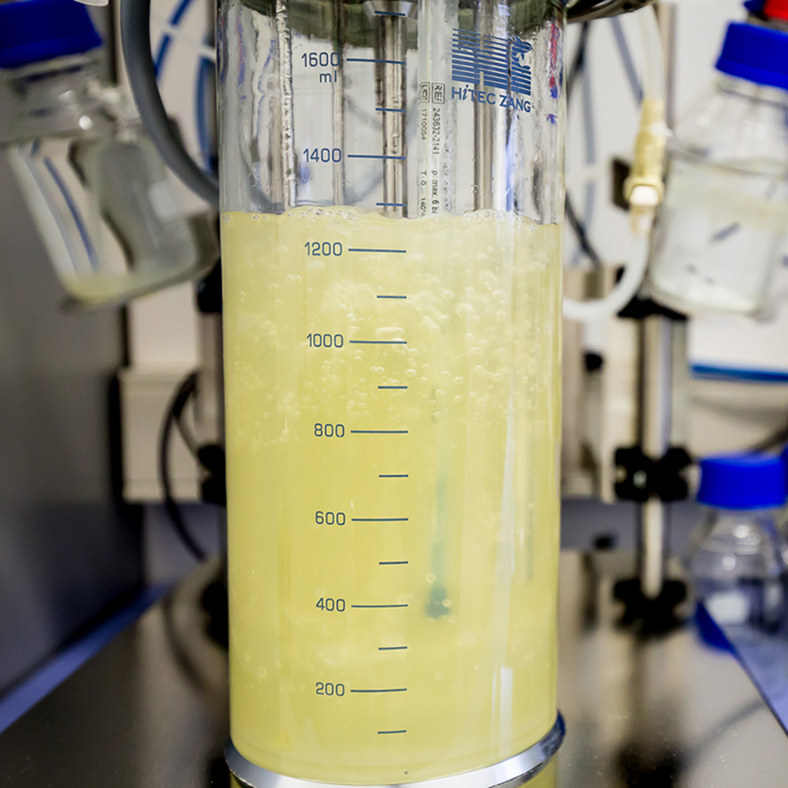 Enzymicals AG – Enzymes / Chemical / Solutions